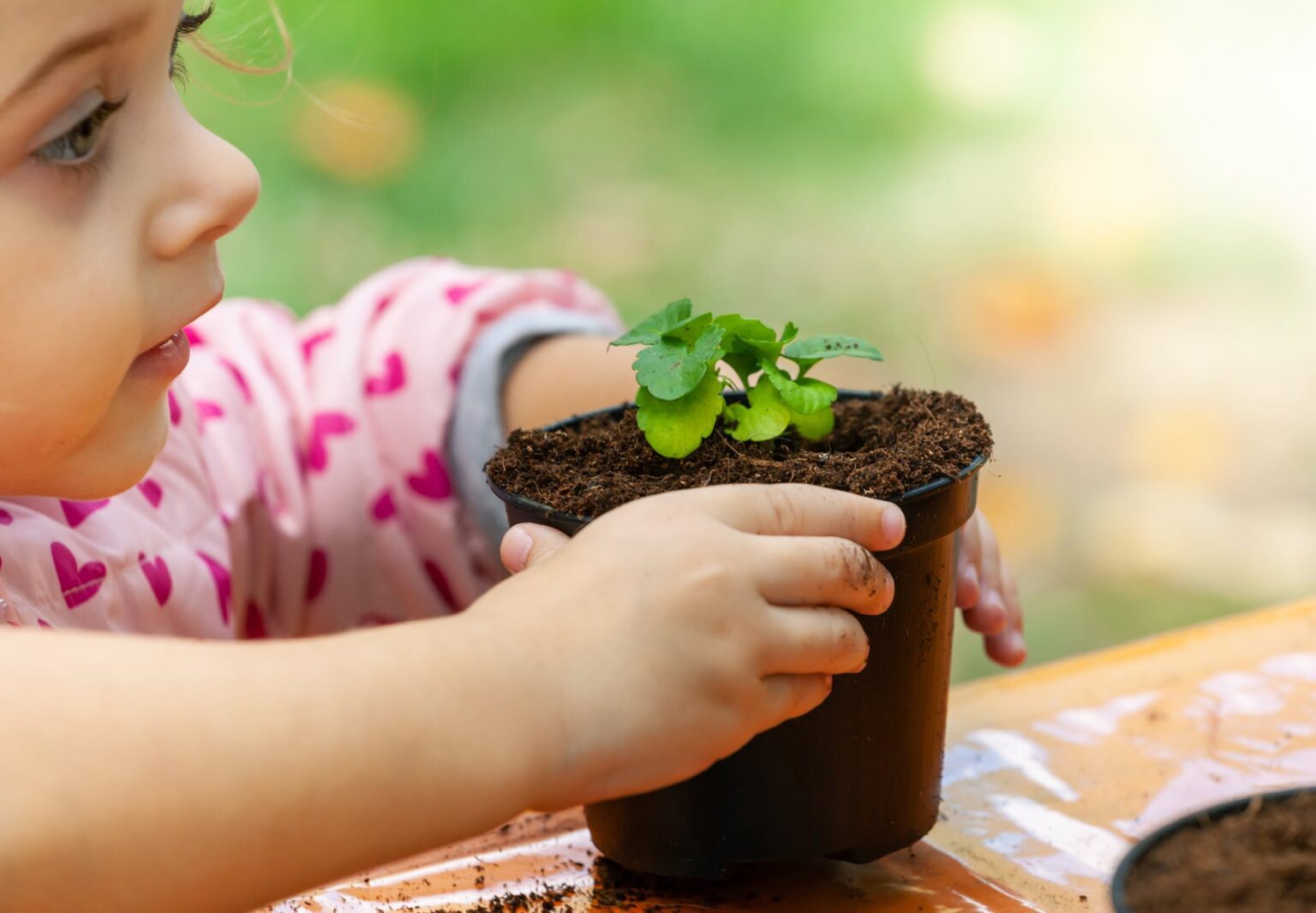 Fun Ways to Teach Children About Conservation & Sustainability